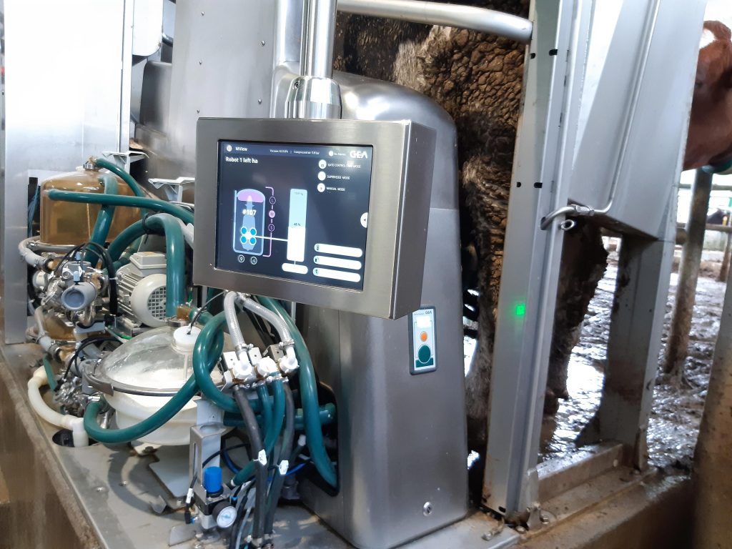 Breeding the right type of cow to boost robotic efficiency - ABS Global ...